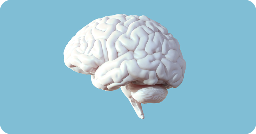 Does Addiction Start in the Brain? The Biology of Addiction