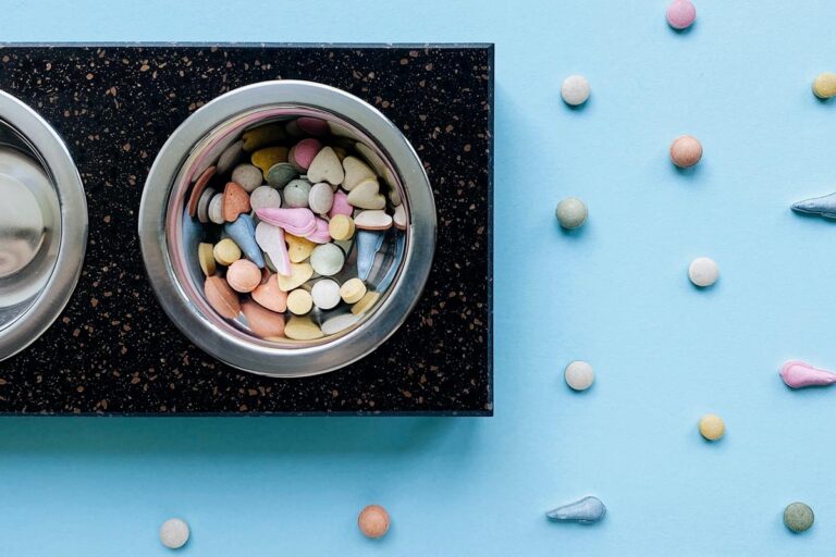 What is Rainbow Fentanyl? - Stairway Resource Center Inc